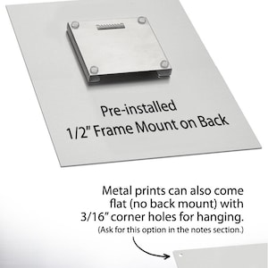 Art Nouveau Peacock: Artwork by Julie Leidel - Etsy