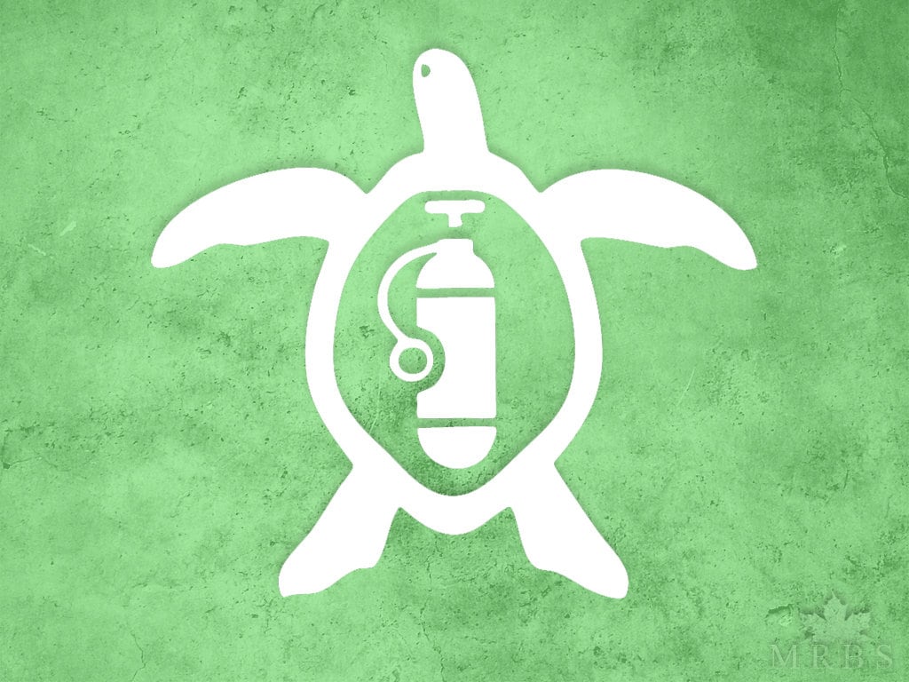 Scuba Diving Decal Turtle Decal Snorkle Decal Turtle | Etsy