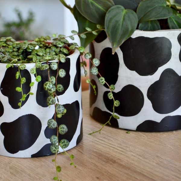 Cow Planter - Etsy