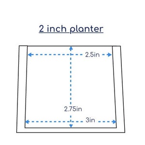 SMALL Desktop Planter, Cement Planter, Concrete Planter, Modern Planter ...