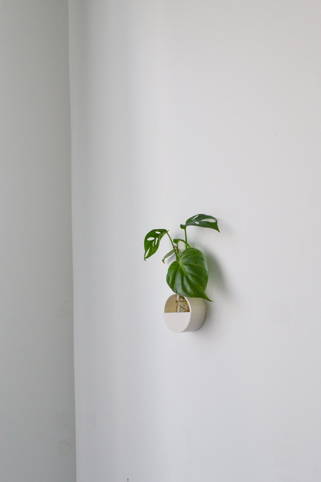 3d Printed Round Textured Ridge Wall Hanging Propagation Vase, Glass ...