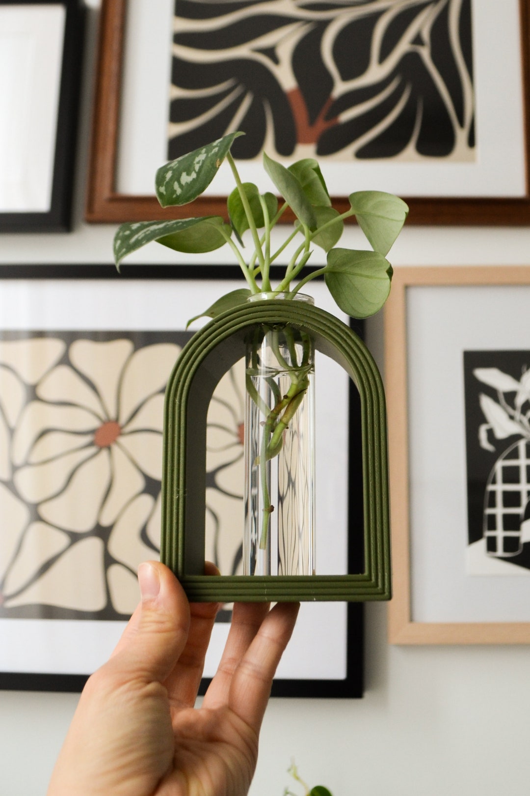 Mini Ribbed Propagation Rainbow Arch With Glass Test Tube, Plant ...