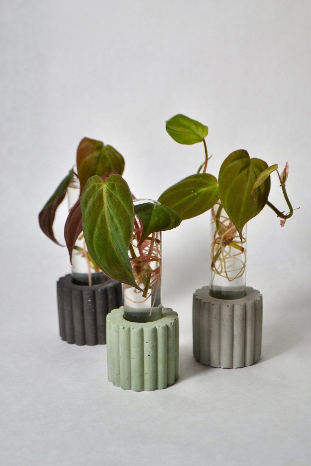 Mid-century Modern Plant Propagation, Glass Propagation Stand ...