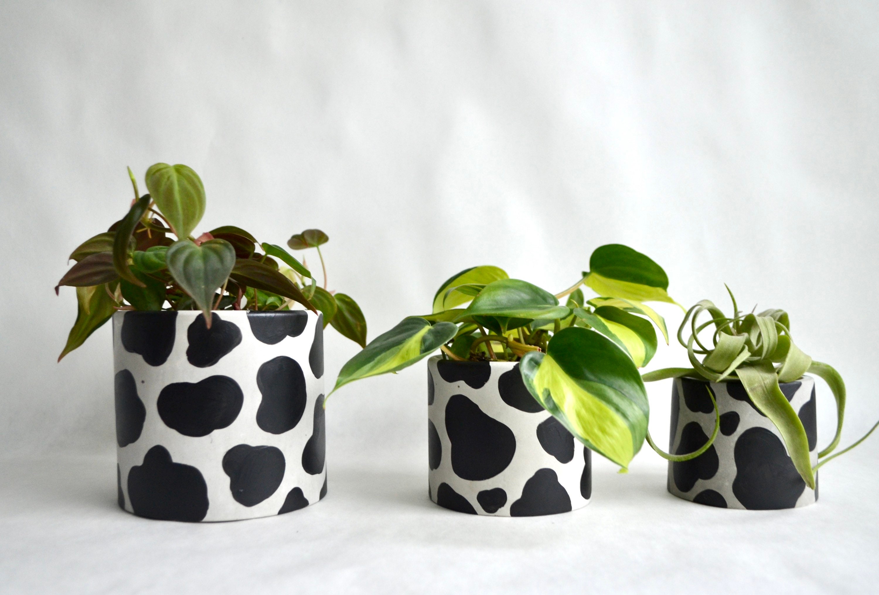 Handmade Cow Pattern Concrete Planter: Modern Minimalist Decor - Etsy