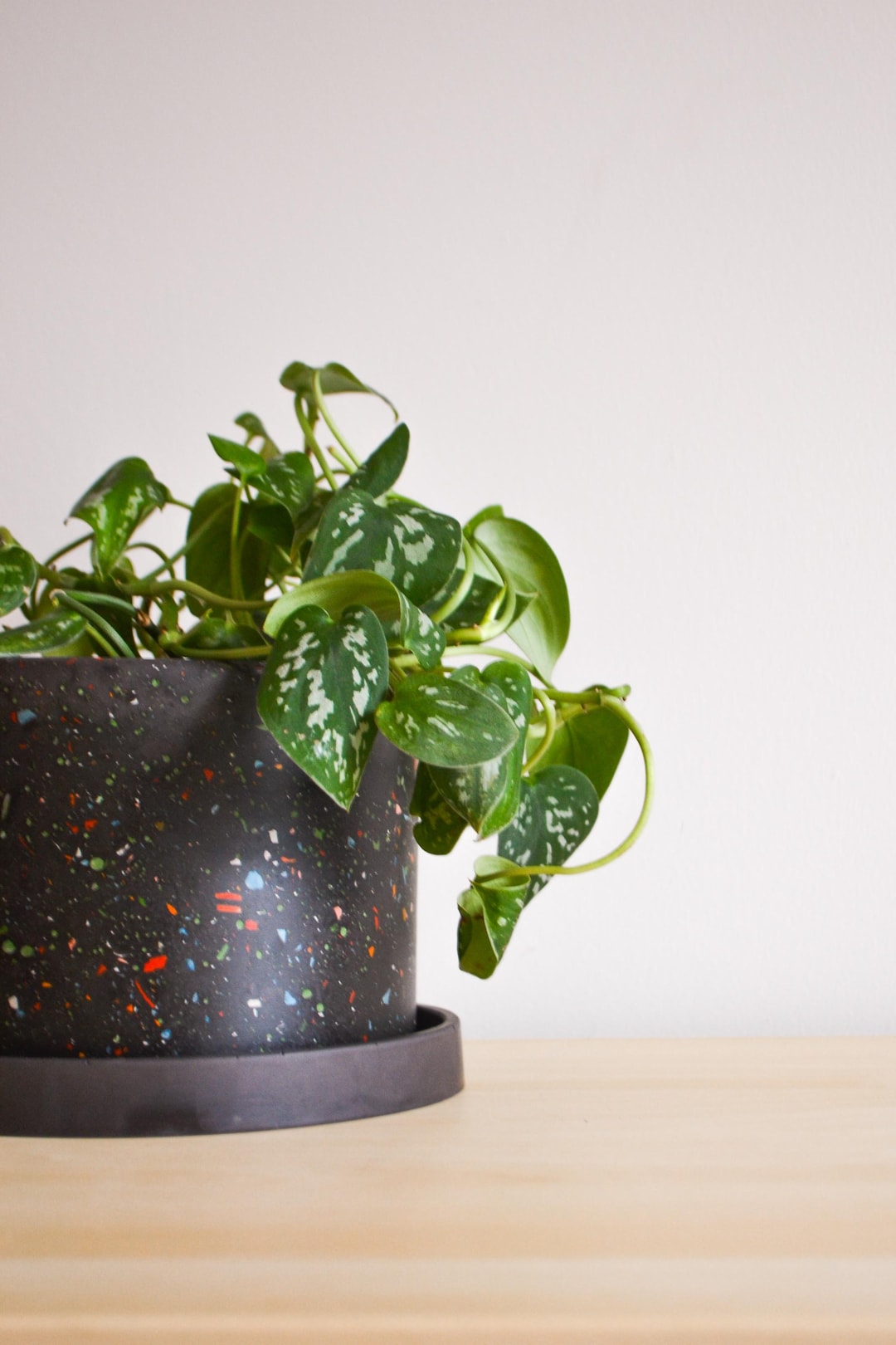 Terrazzo Chip Planters Trio: Modern Colorful Accent Pots - Etsy