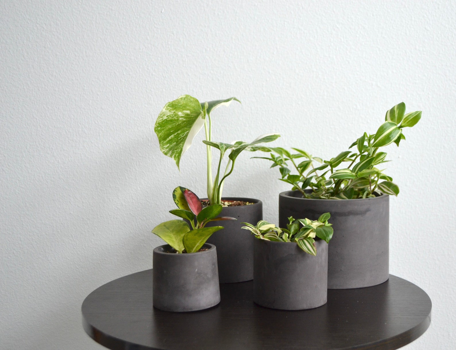 SMALL Desktop Planter, Cement Planter, Concrete Planter, Modern Planter ...