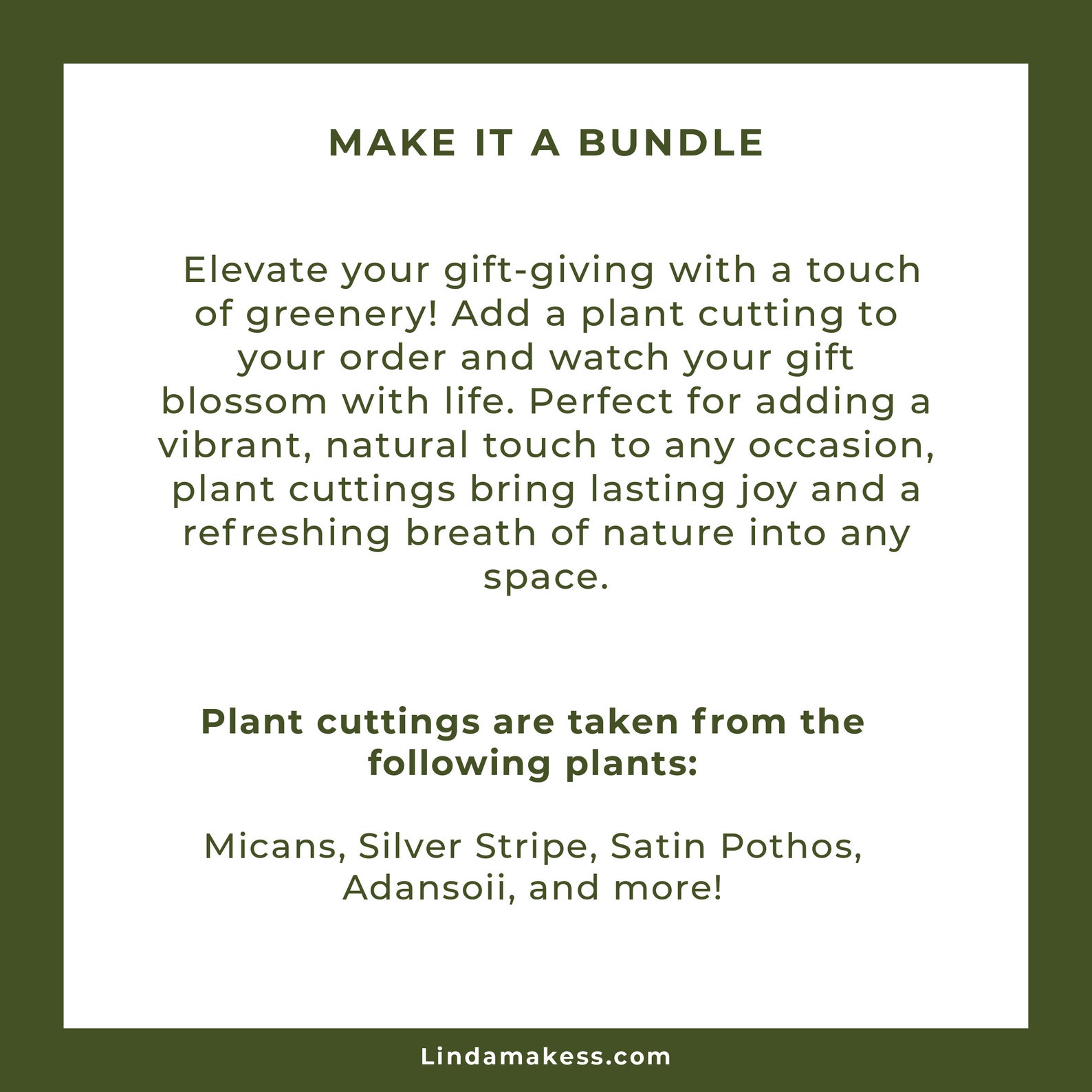 Make It a Bundle: Add a Plant Cutting to Your Order - Etsy