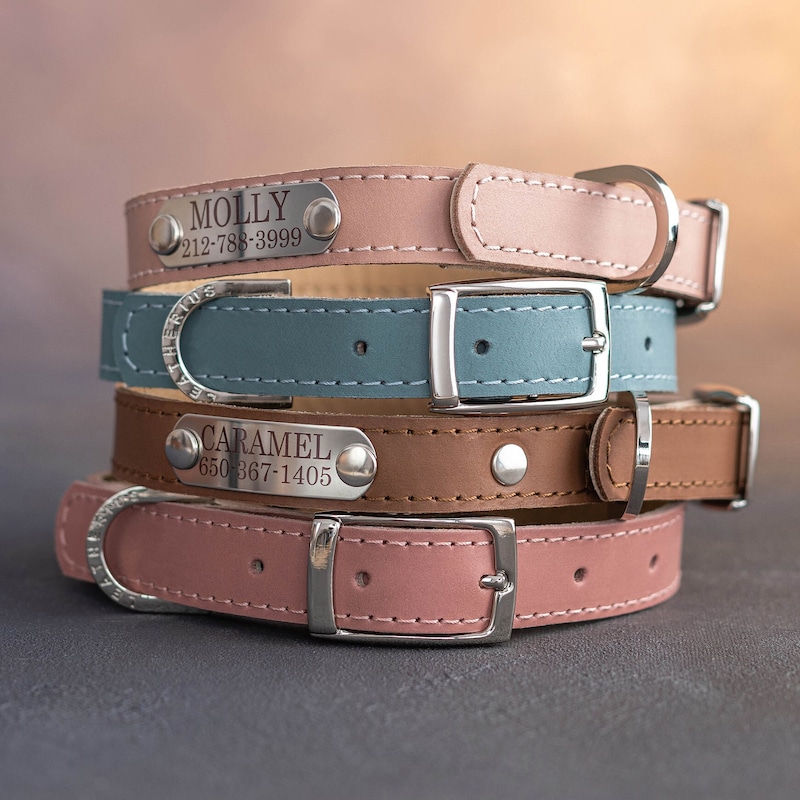 Dog Collars - Etsy