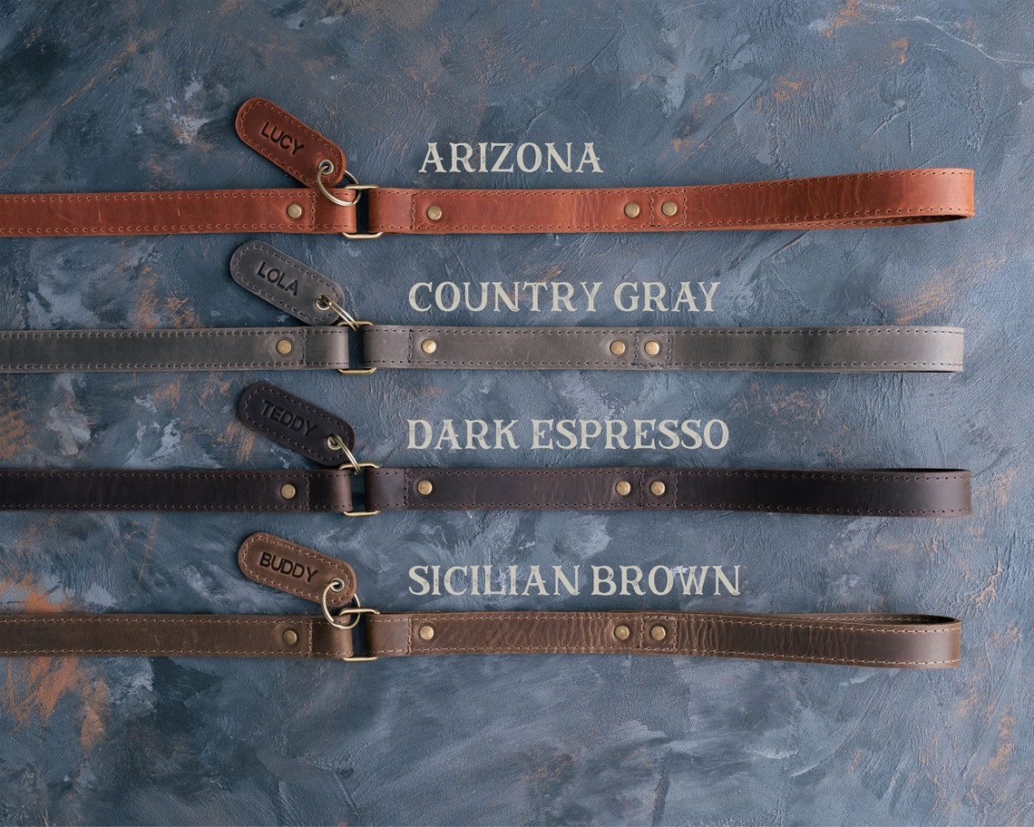 Rustic Hardware Dog Leash Leather Dog Leash Rustic Lobster | Etsy