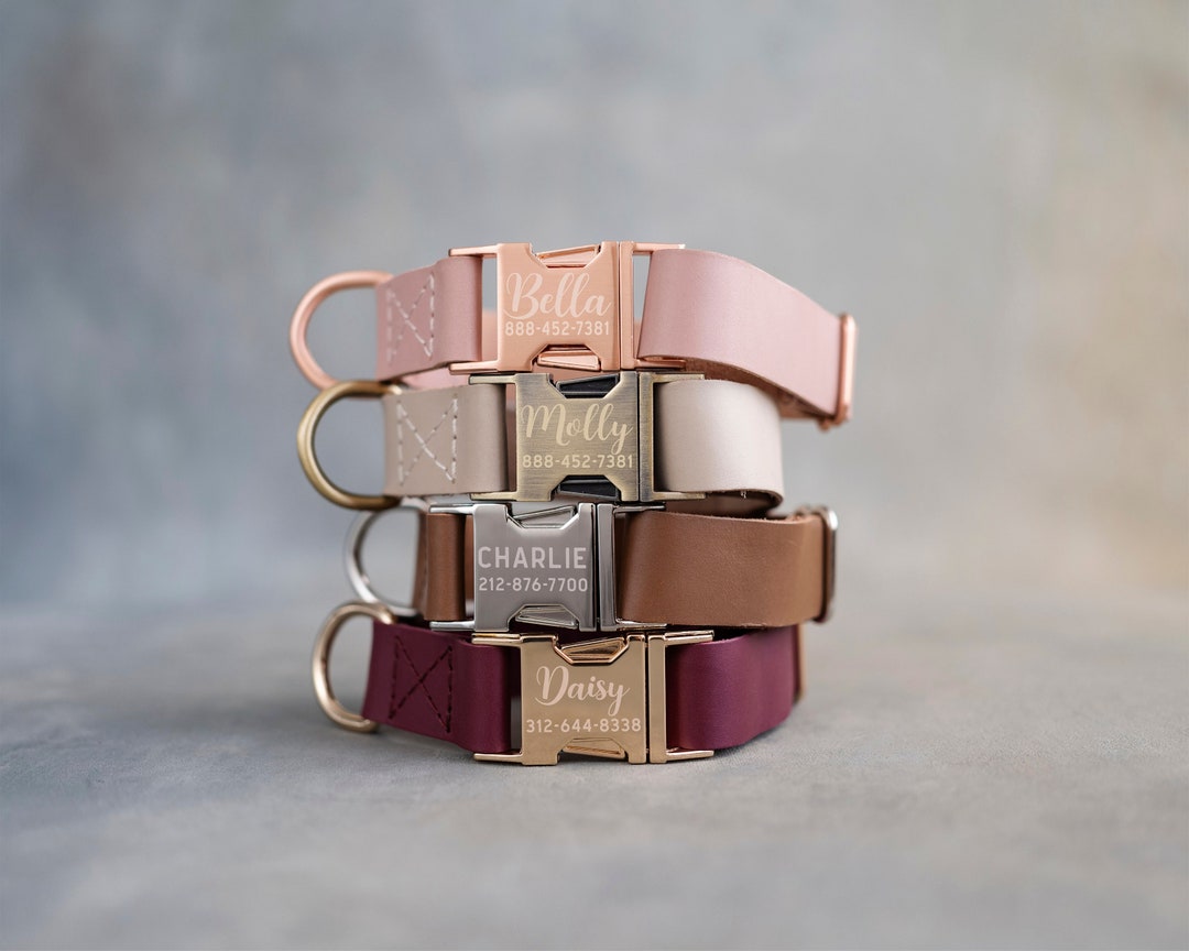 Dog Collar Leather, Dog Collar Personalized, Dog Collar Girl, Dog ...