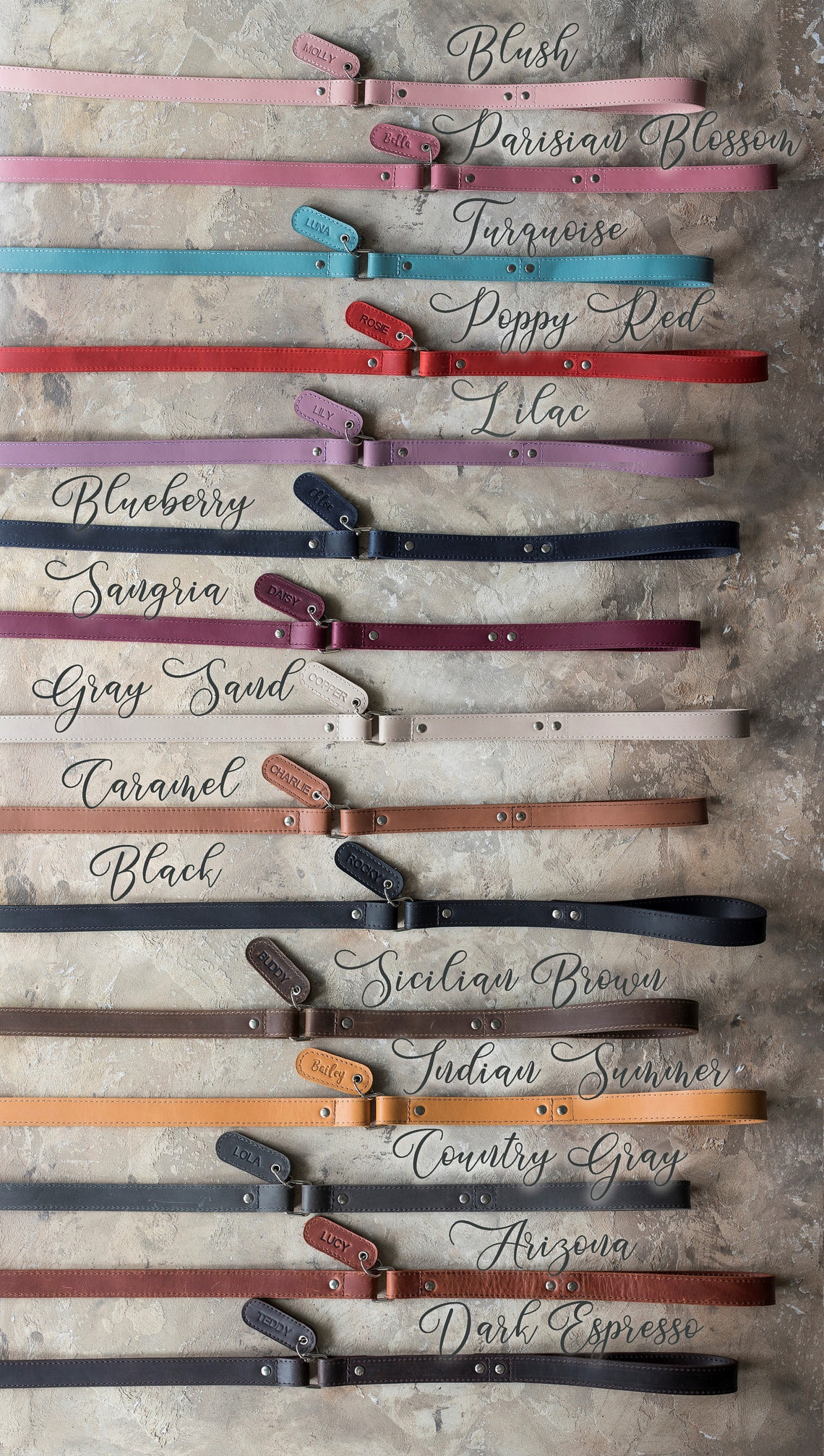 Personalized Leather Dog Leash Personalized Dog Leash | Etsy