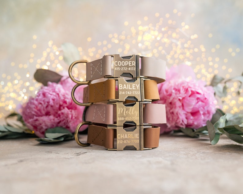 Rustic Hardware Dog Leash Leather Dog Leash Rustic Lobster - Etsy