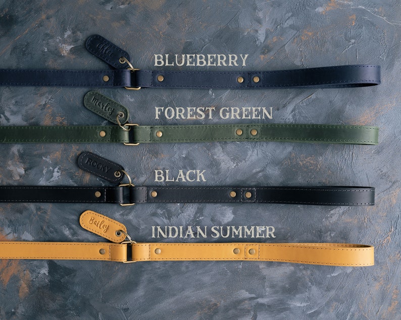 Rustic Hardware Dog Leash Leather Dog Leash Rustic Lobster - Etsy