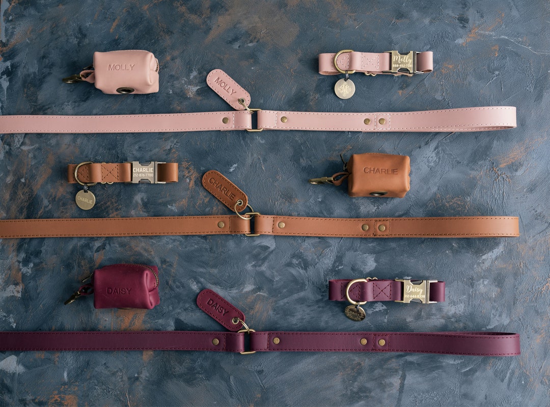 Rustic Hardware Dog Leash Leather Dog Leash Rustic Lobster Clasp Dog ...