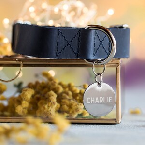 Personalized Picture Dog Tag, Name Dog Tag for Dogs Personalized, Dog ...