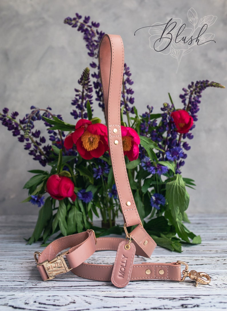 Gold Hardware Dog Leash Leather Dog Leash Gold Lobster Clasp - Etsy