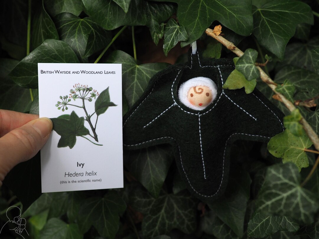 Tiny Baby Fairy Doll in Wool Felt Ivy Leaf Pod - Etsy UK