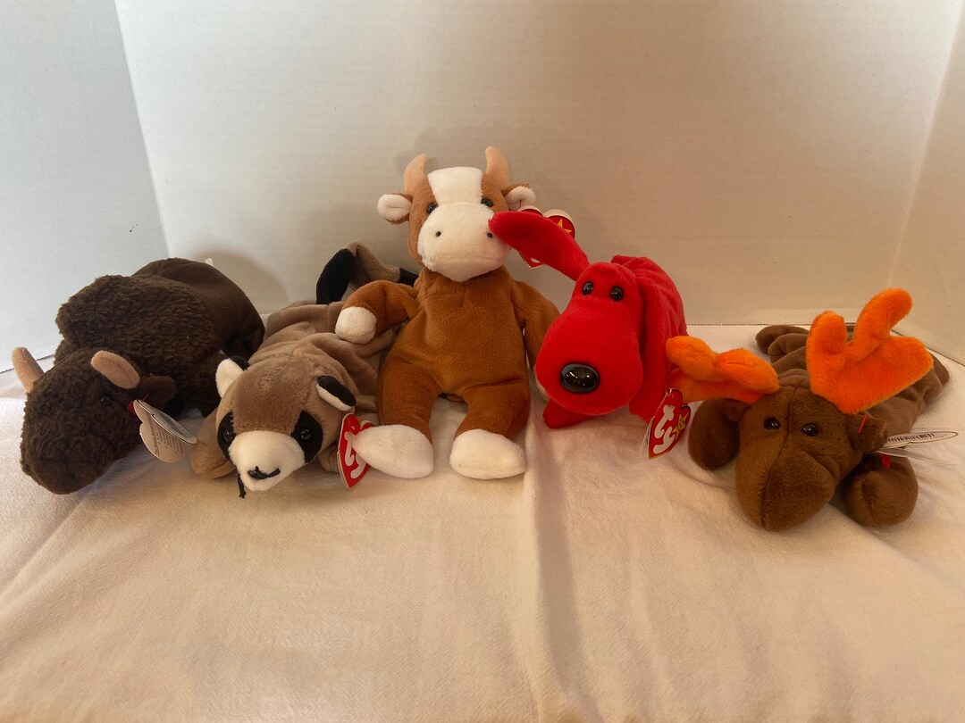 Ty Beanie Babies Your Choice Roam Buffalo Ringo Raccoon Bessie Cow ...