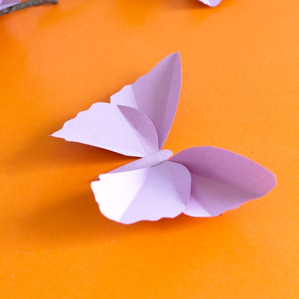Paper Butterfly Template - Etsy