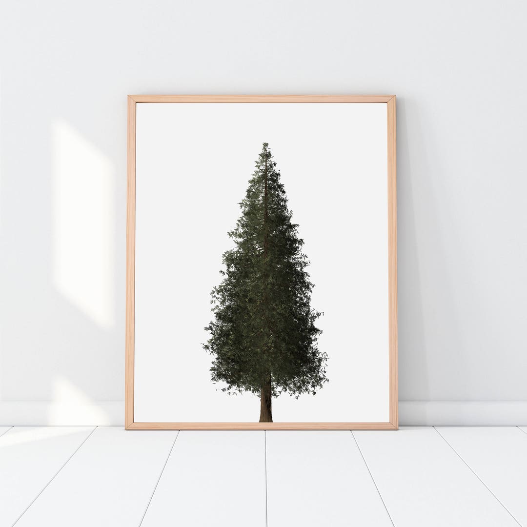 Tree Print, Printable Gift, Art, Tree Poster, Tree Art, Printable Women ...