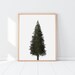 Tree Print, Printable Gift, Art, Tree Poster, Tree Art, Printable Women ...