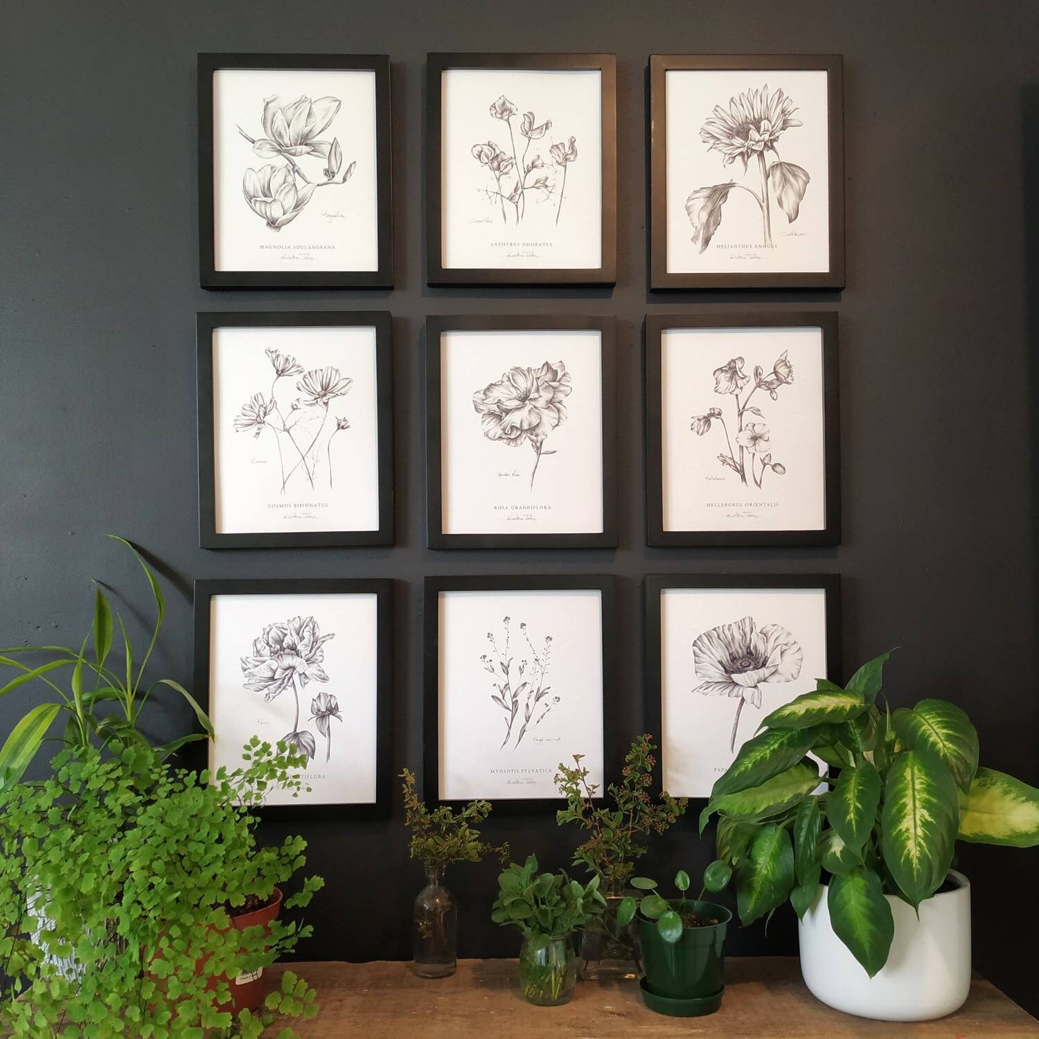 Set of 3 Flower Botanical Art Prints in Graphite by Artist | Etsy Canada