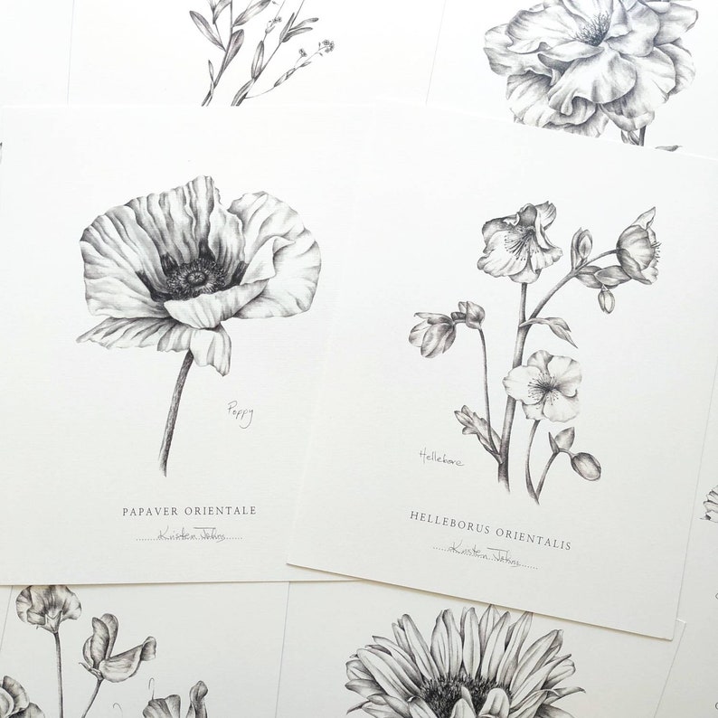 Set of 3 Flower Botanical Art Prints in Graphite by Artist - Etsy Canada