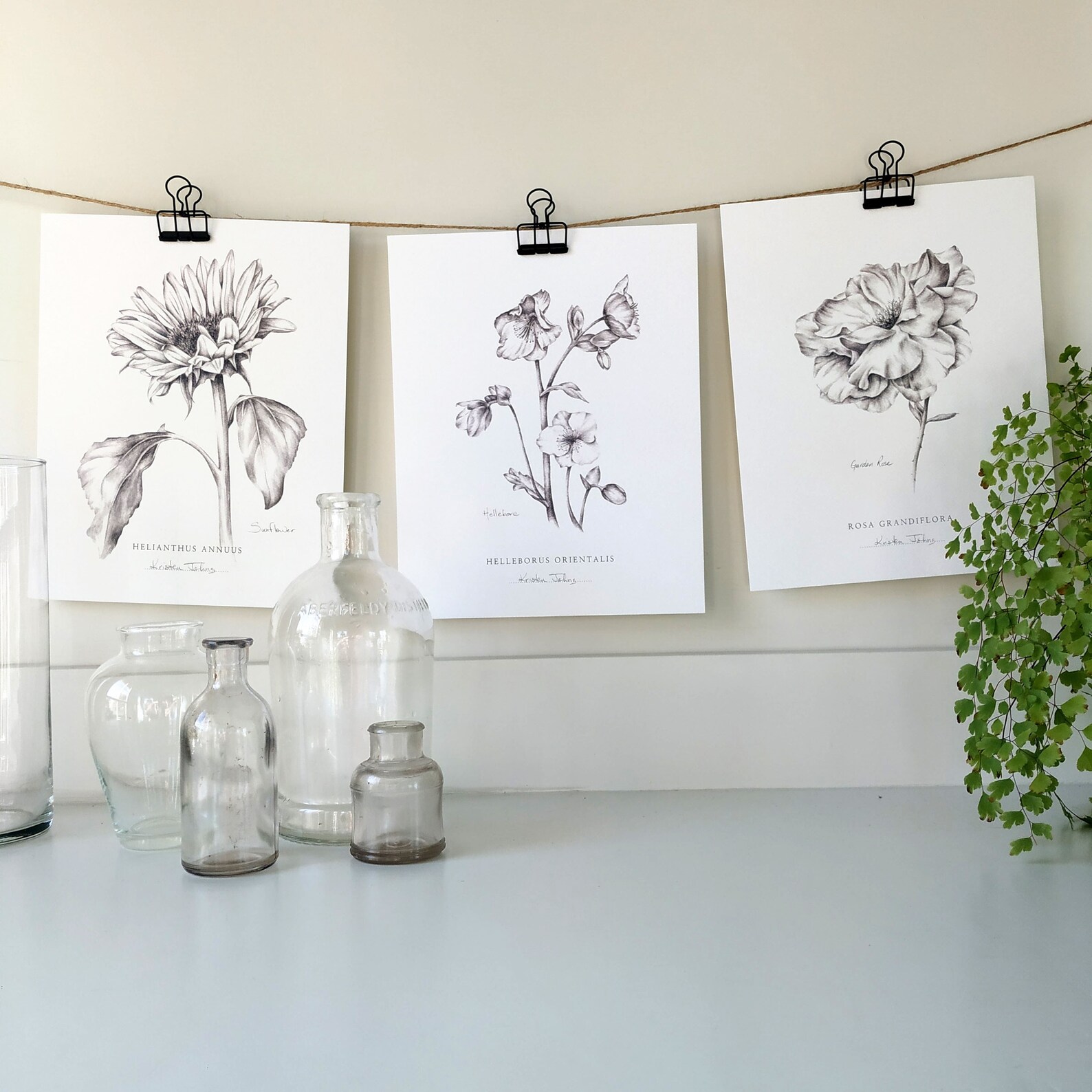 Set of 3 Flower Botanical Art Prints in Graphite by Artist | Etsy Canada