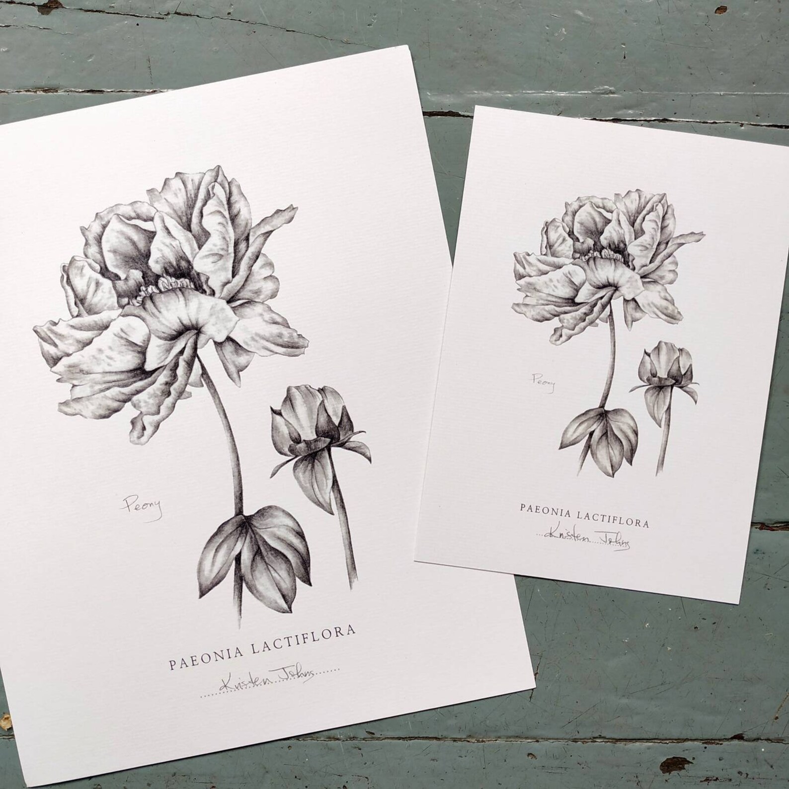 Set of 3 Flower Botanical Art Prints in Graphite by Artist | Etsy Canada