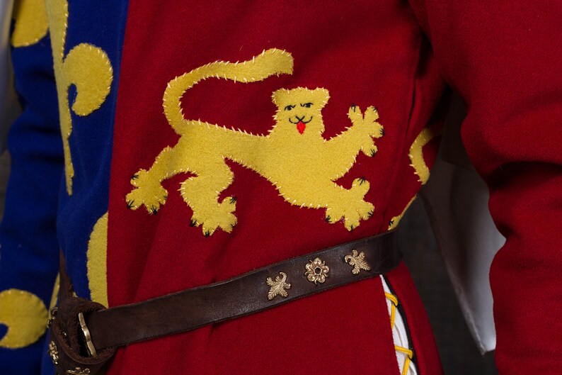 Heraldic medieval surcote Europe 14th century | Etsy