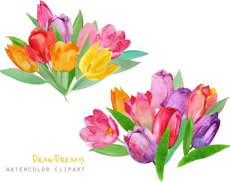 Watercolor Clipart Tulip Bouquet Flower Pink Red Digital Download Hand ...