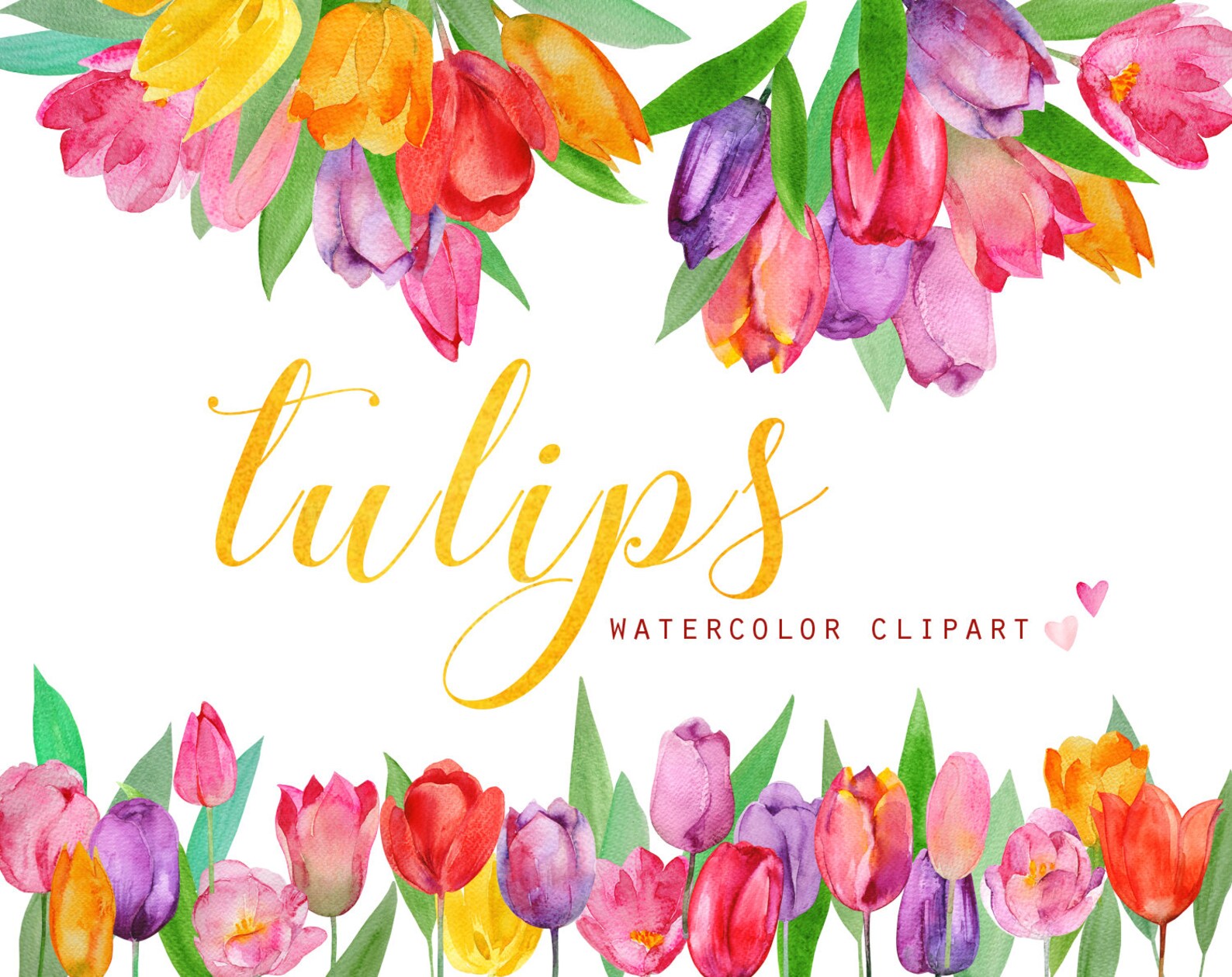 Watercolor Clipart Tulip Bouquet Flower Pink Red Digital Download Hand ...