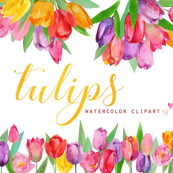 Tulip Watercolor - Etsy