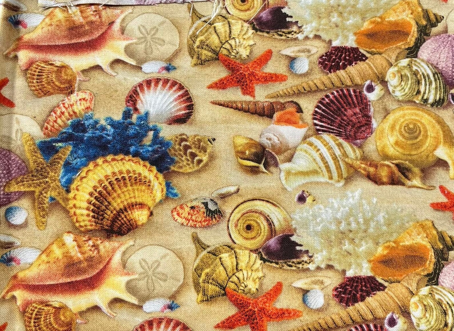 Sea Shell Collecting Beach Bag, Colorful Beach Combing Bag, Kid's Mesh ...