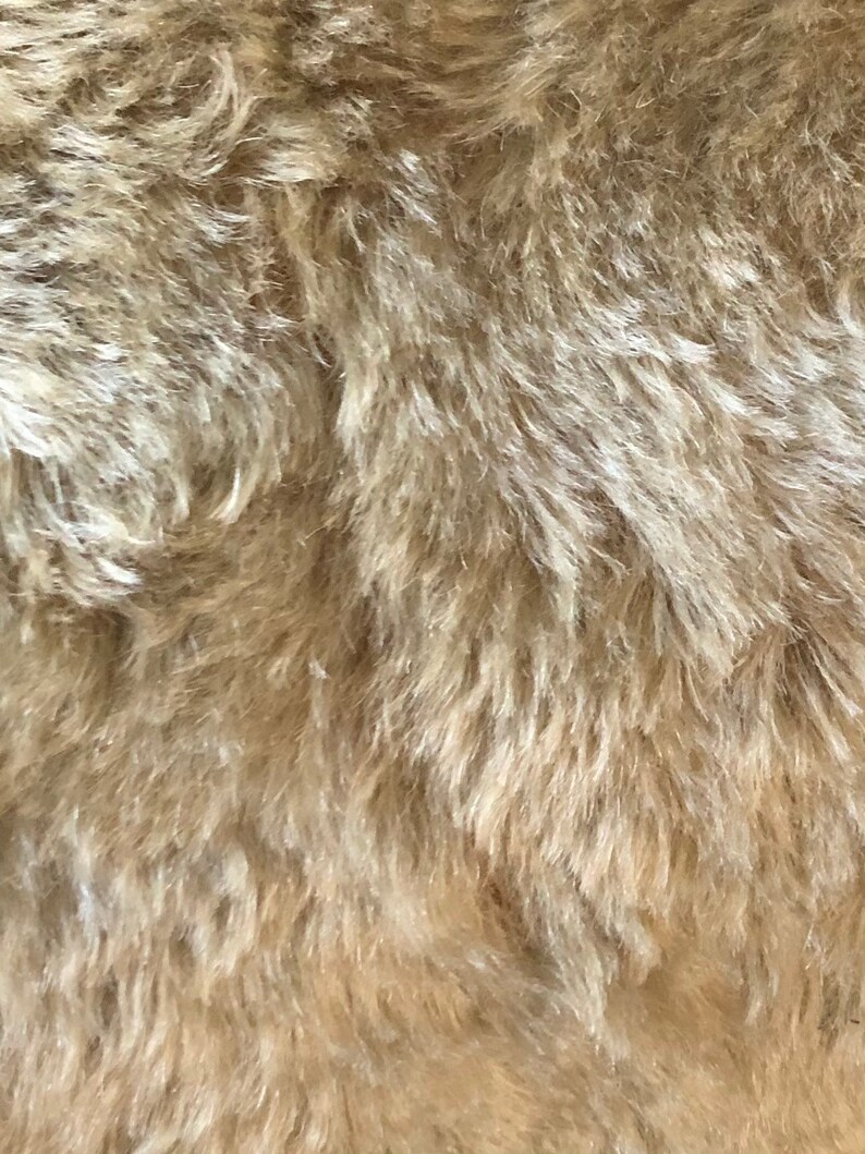 Theodore 'make Your Own' Kit Bear - Etsy