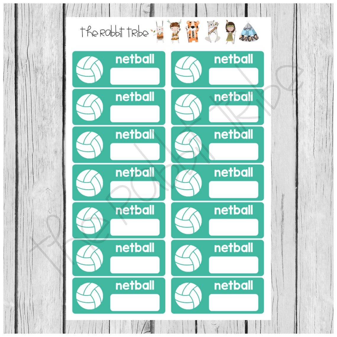 Mini Sticker Sheet Netball Sport Self Care Planner - Etsy