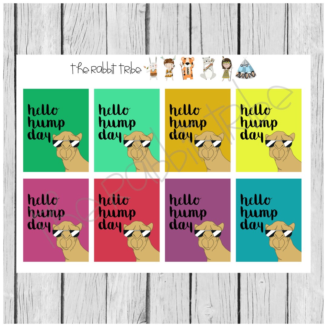 Decorative Boxes Hump Day Planner Stickers Perfect for Your Erin ...