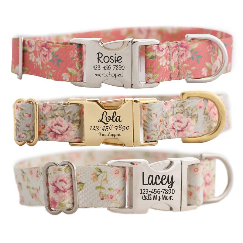 Personalized Dog Collar - Etsy