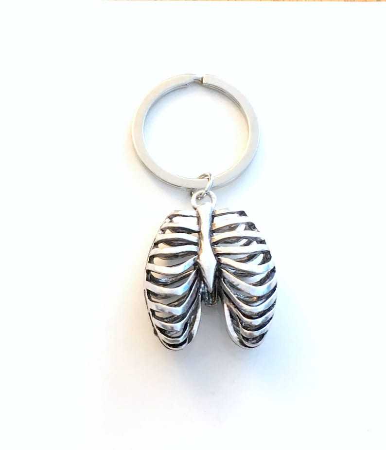 Human Rib Cage Key Chain Ribcage Keyring Ribs Gift for - Etsy Canada