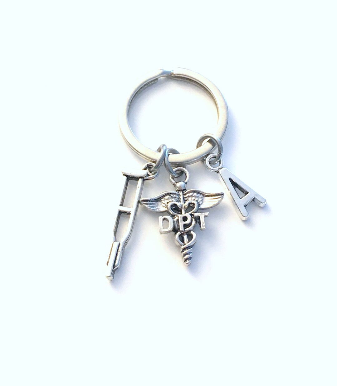 DPT Gift, DPT Keychain, Doctor of Physical Therapy Caduceus Key Chain ...
