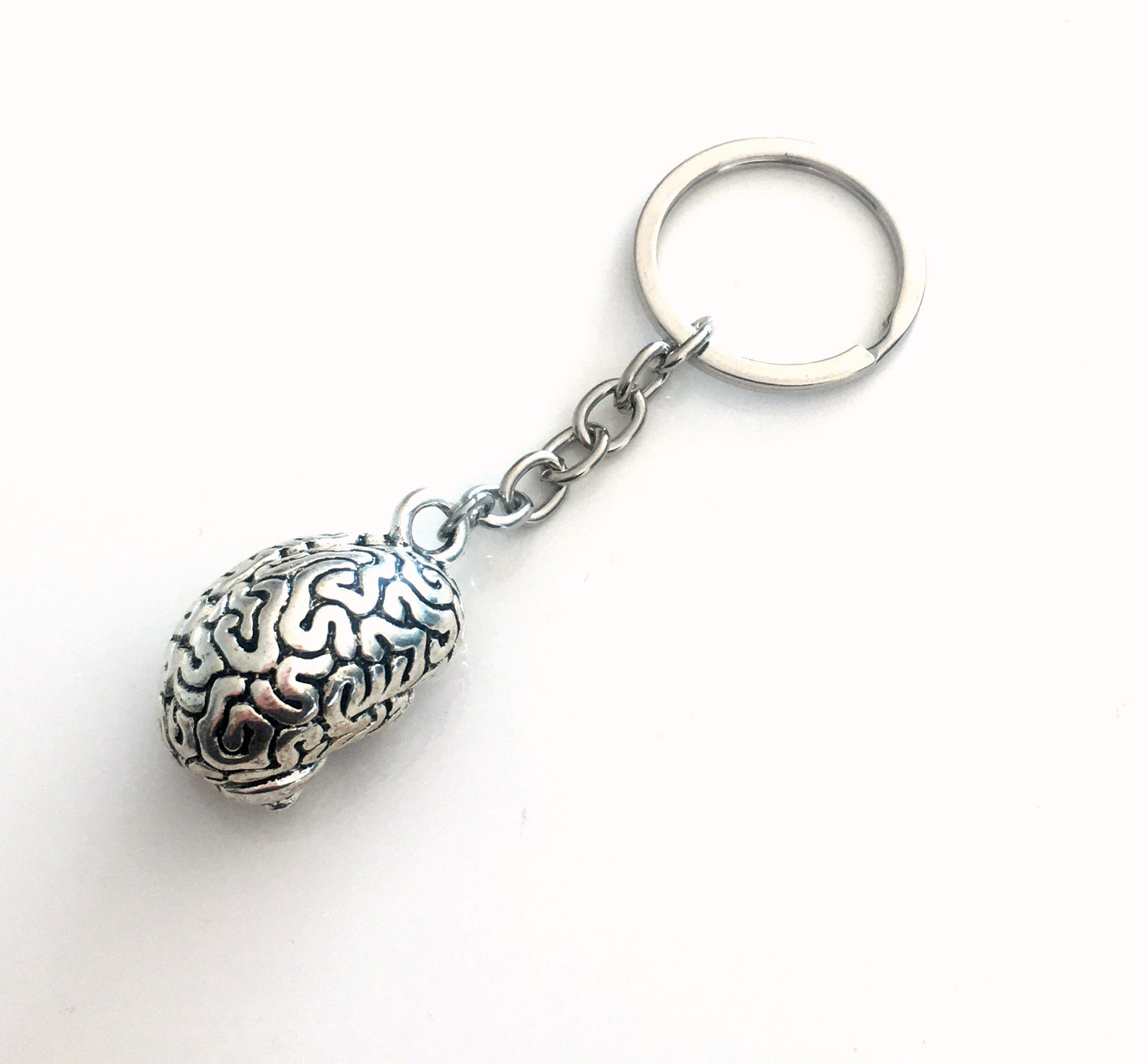 Human Brain Keychain Anatomical Brain Keyring Neuroscience - Etsy Canada