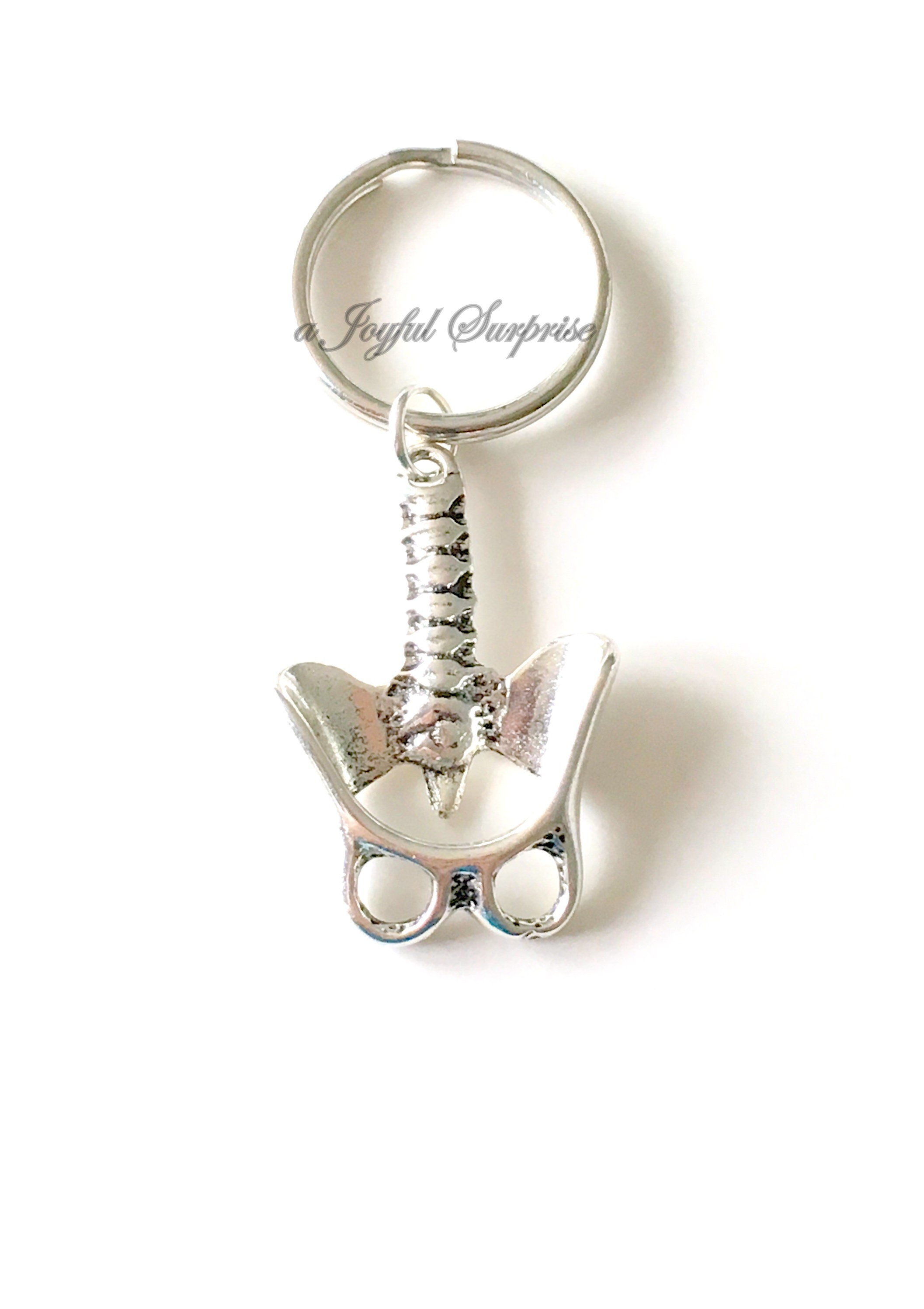 Pelvis Keychain Human Spine Keyring Gift for Orthopedic - Etsy UK