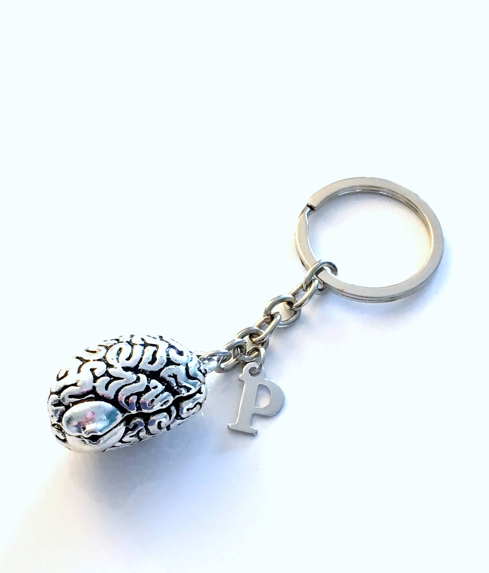Human Brain Keychain Anatomical Brain Keyring Neuroscience - Etsy Canada
