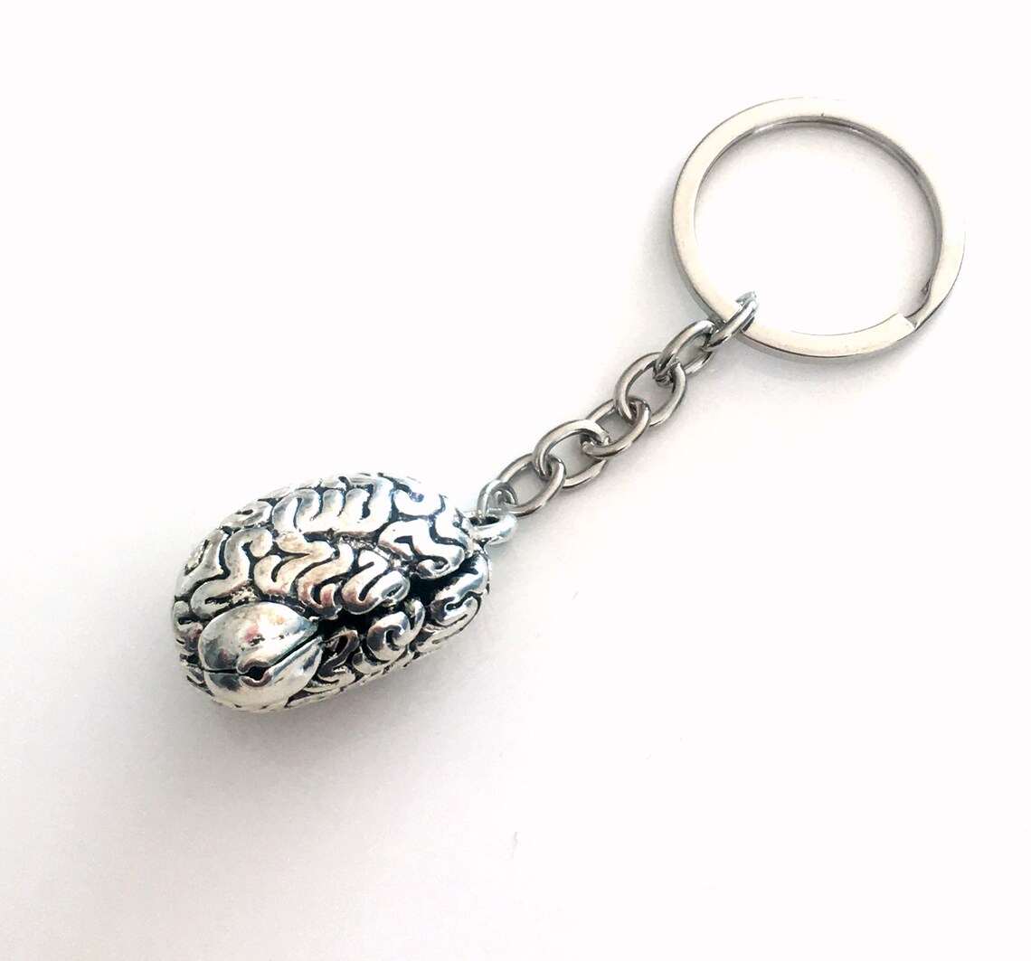 Human Brain Keychain Anatomical Brain Keyring Neuroscience - Etsy Canada