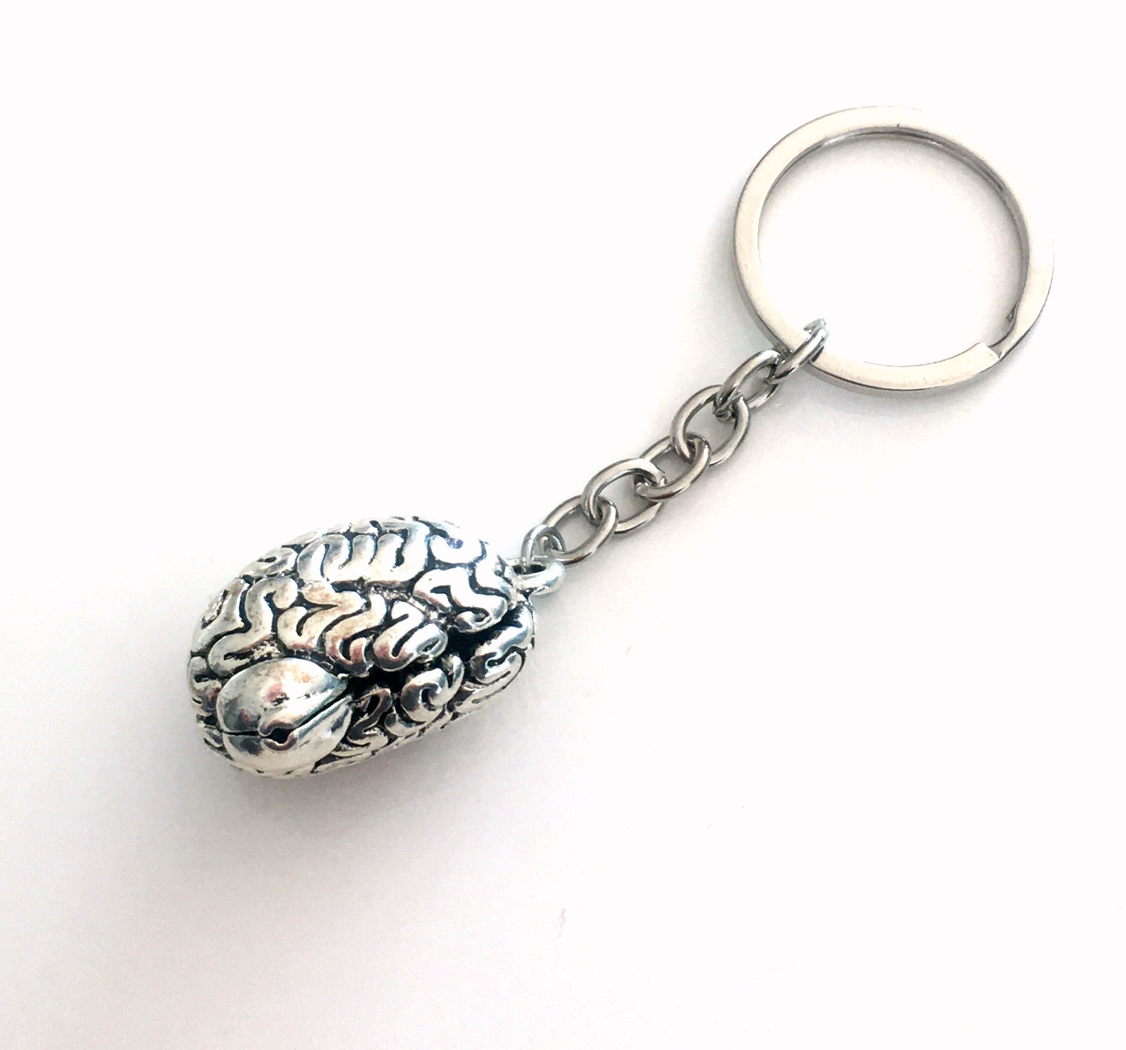 Human Brain Keychain Anatomical Brain Keyring Neuroscience - Etsy Canada