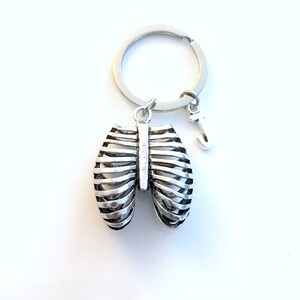 Human Rib Cage Key Chain, Ribcage Keyring, Ribs Gift for Orthopedic ...