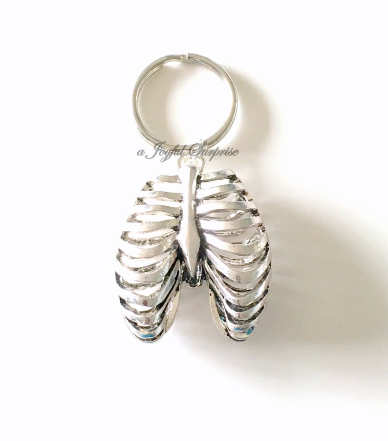 Human Rib Cage Key Chain Ribcage Keyring Ribs Gift for | Etsy