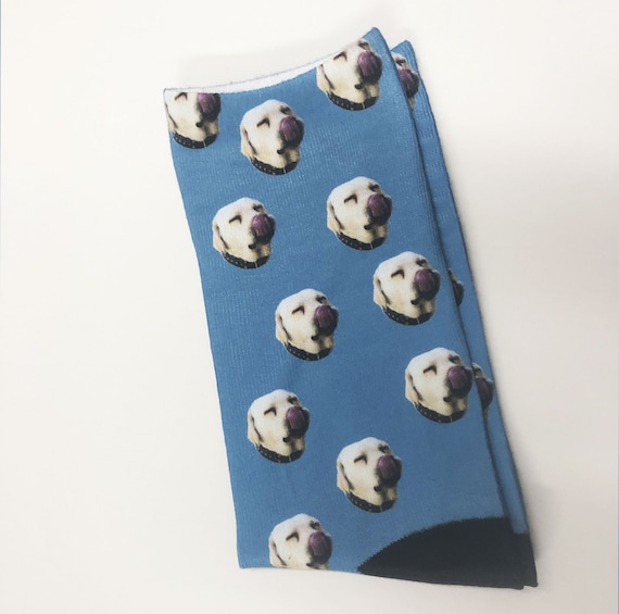 Como Poner Calcetines A Un Perro