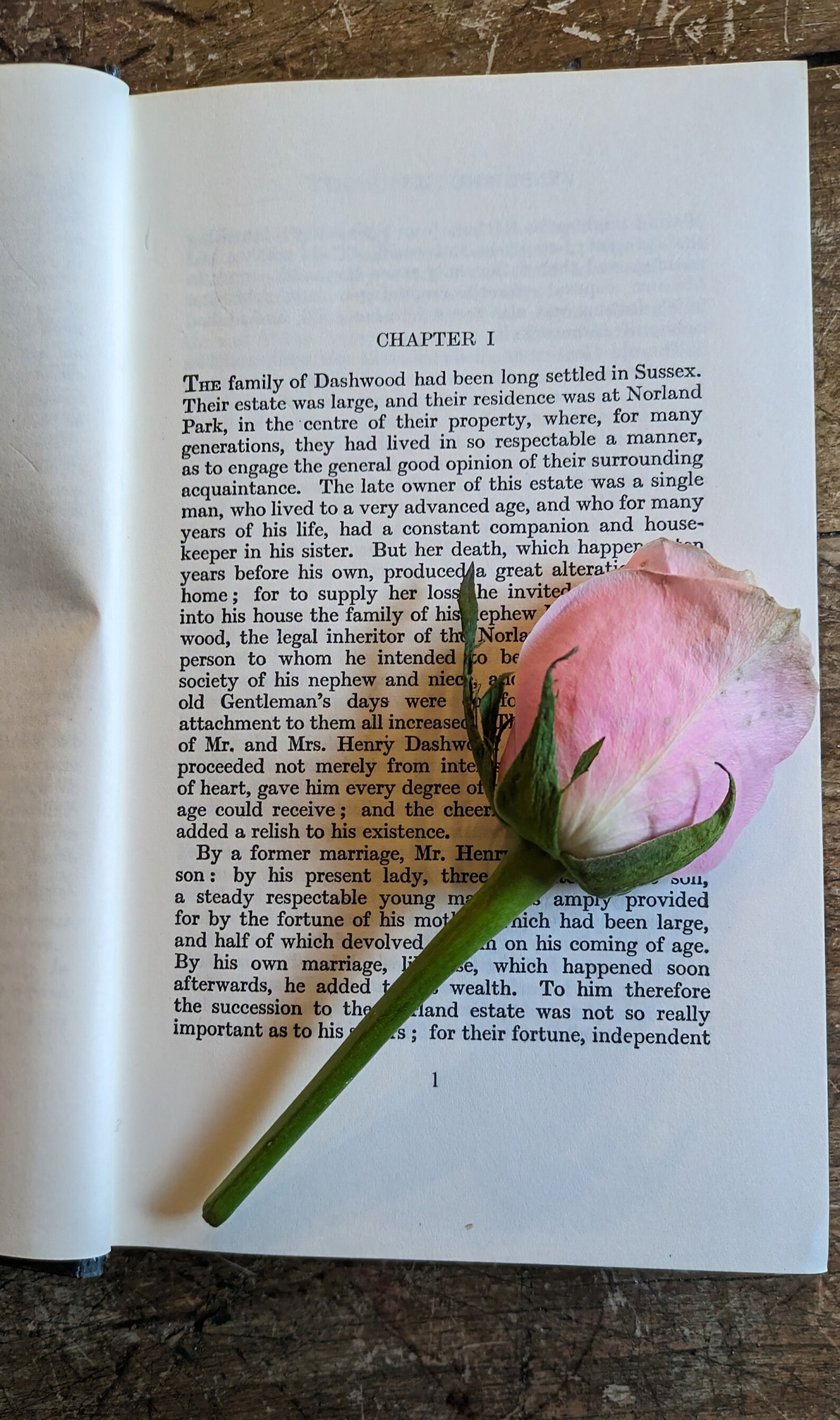 Jane Austen, Vintage Austen, Austen Bundle, 3 Austen Books, Pride and ...