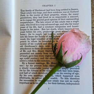 Jane Austen, Vintage Austen, Austen Bundle, 3 Austen Books, Pride and ...